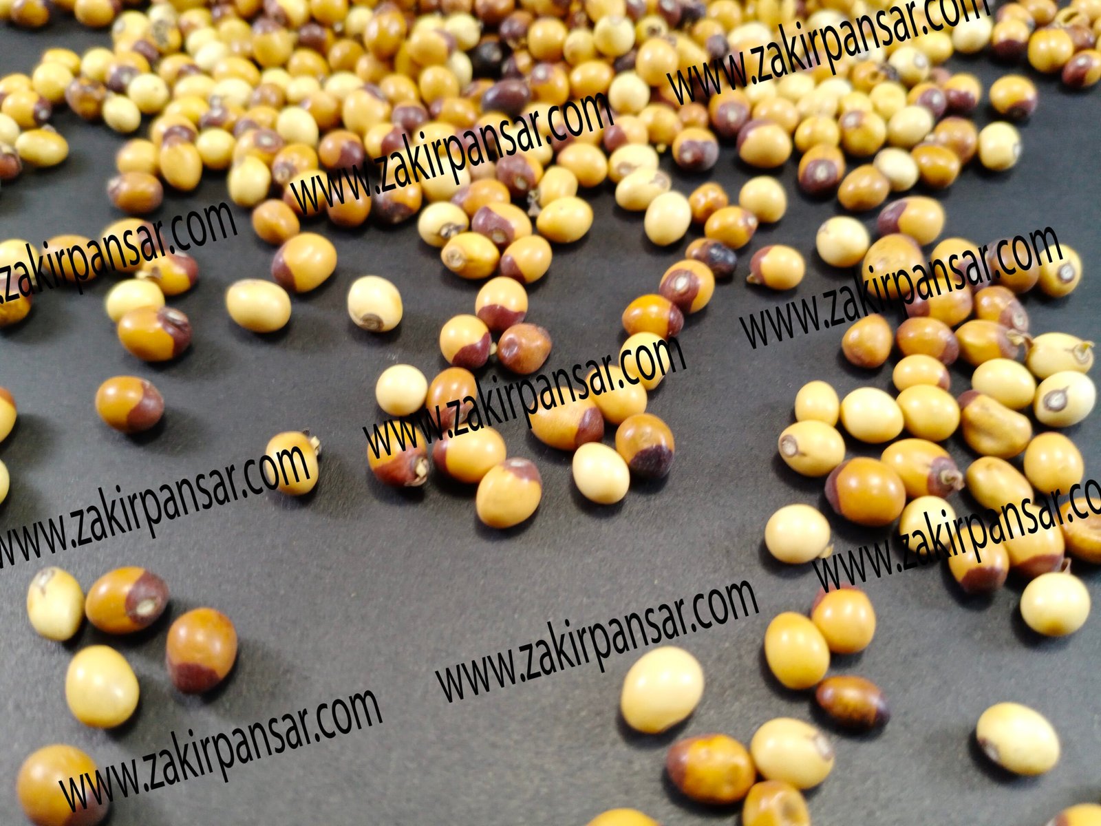 White Ghungchi Seeds | Ratti Sufaid | رتی سفید - Zakir Pansar