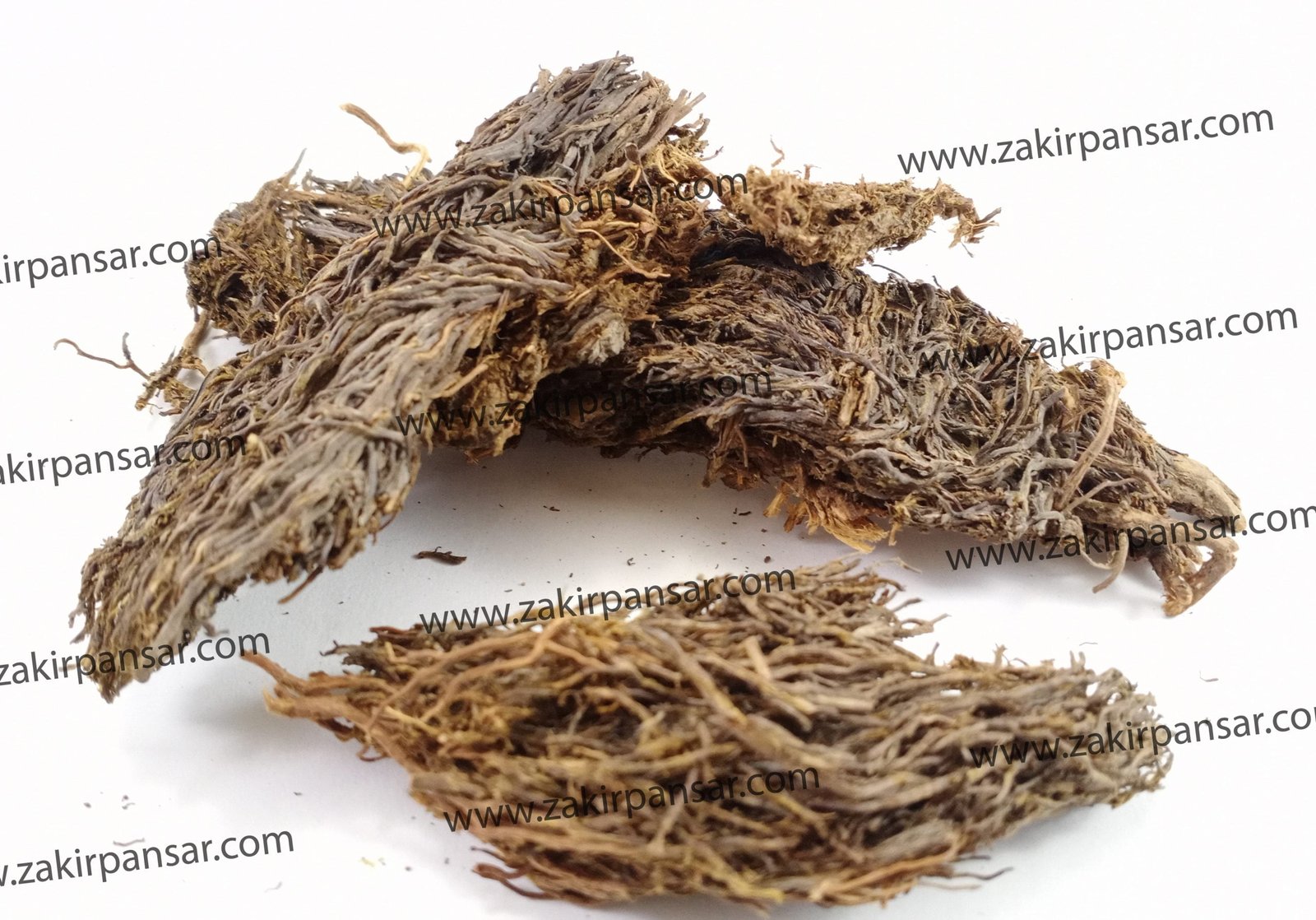 Peeple ki darhi/پیپل کی داڑھی - Zakir Pansar