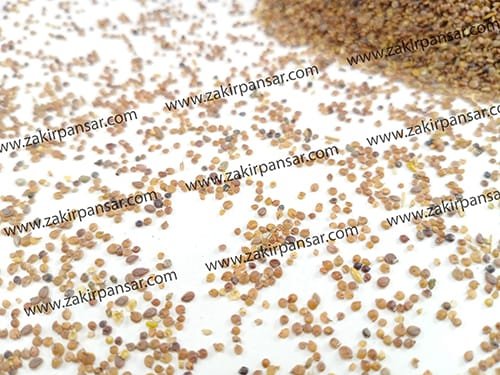 Todri Safed | Tudri Safed Beej | Lepidium iberis | تودری سفید - Zakir ...